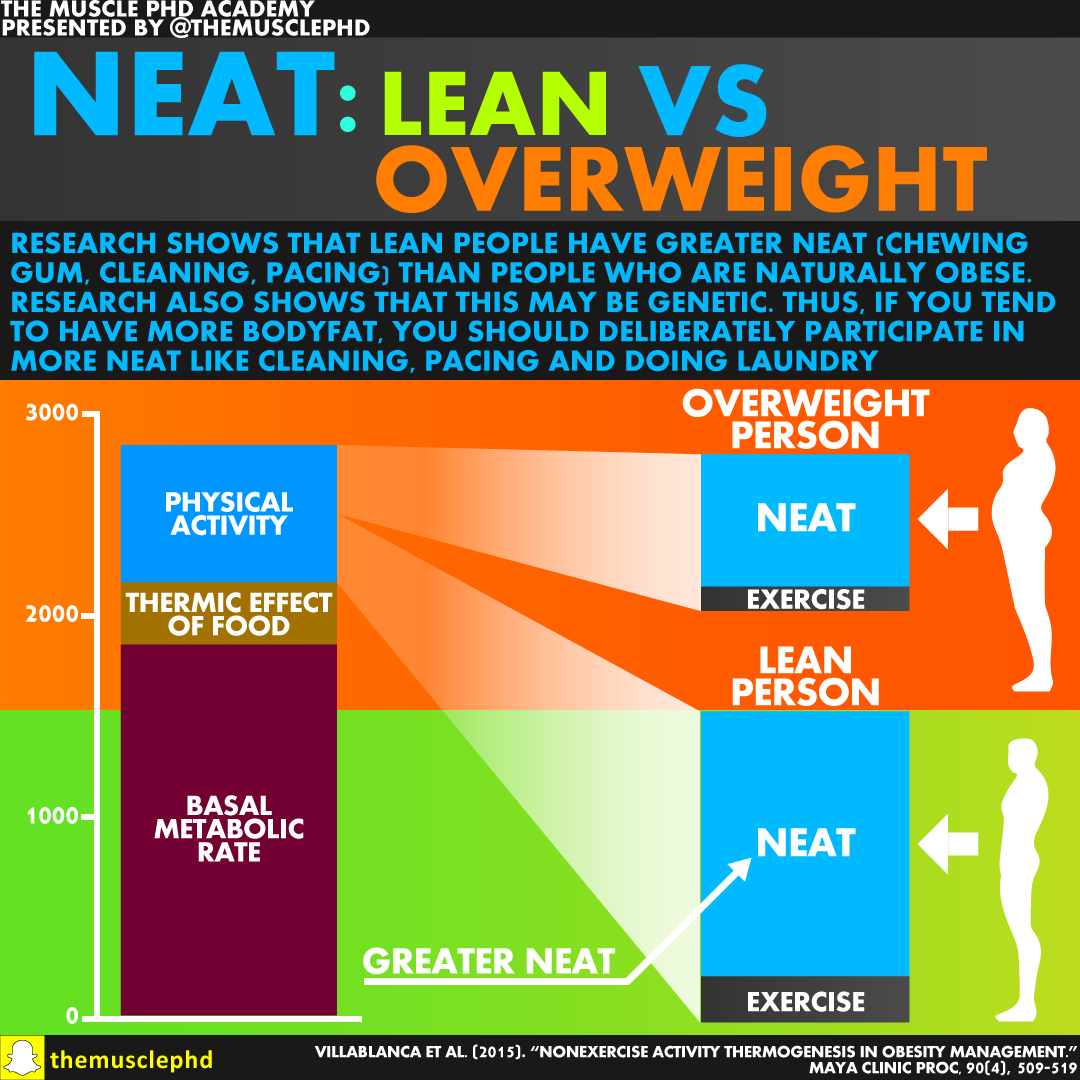 Infographics - The Muscle PhD