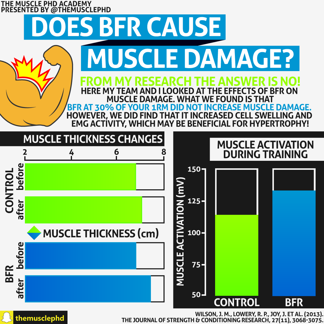Infographics - The Muscle PhD