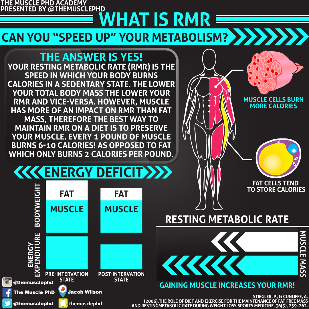 Infographics - The Muscle PhD