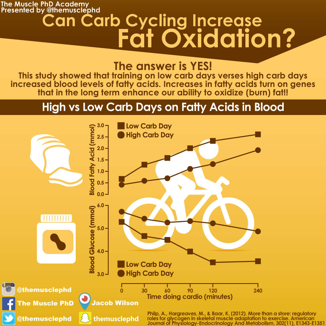 Infographics - The Muscle PhD