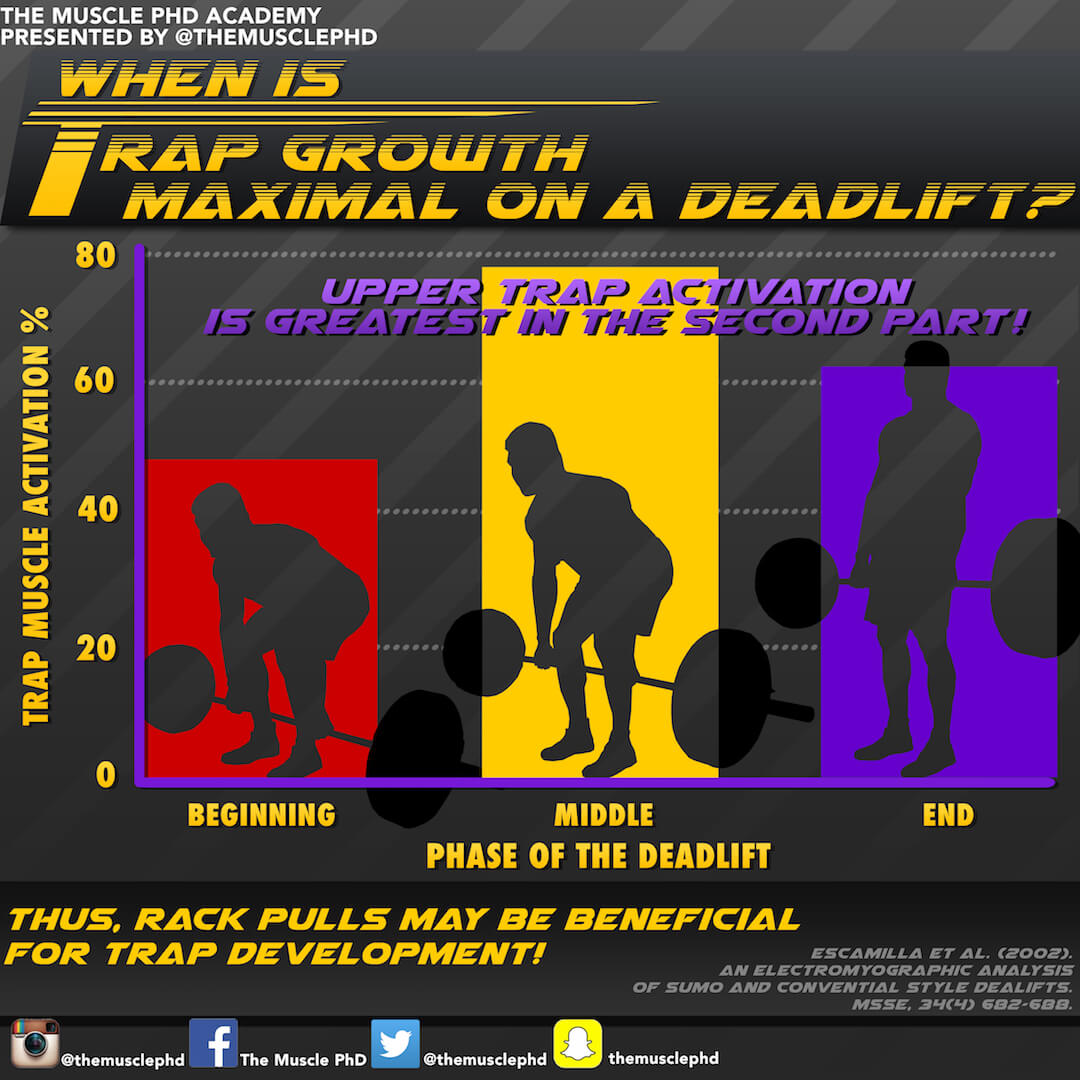 Infographics - The Muscle PhD