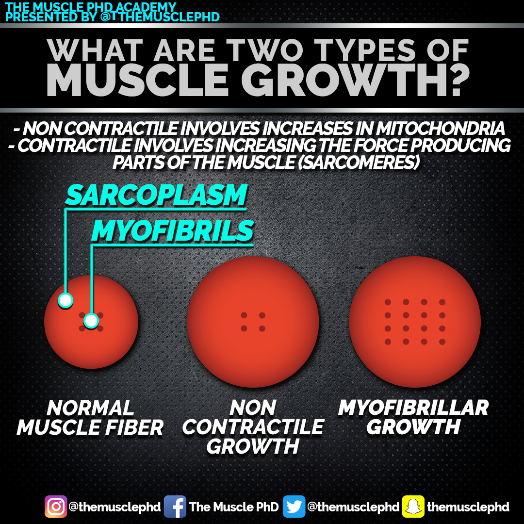 Infographics - The Muscle PhD
