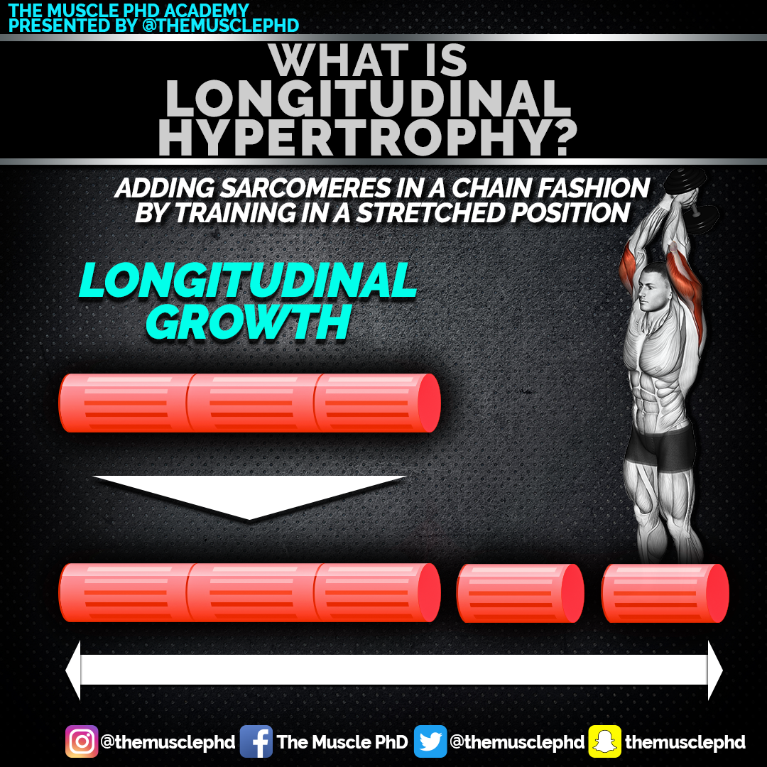 Infographics - The Muscle PhD