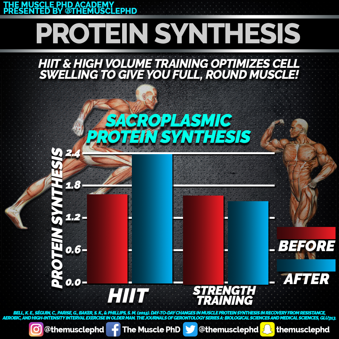 Infographics - The Muscle PhD