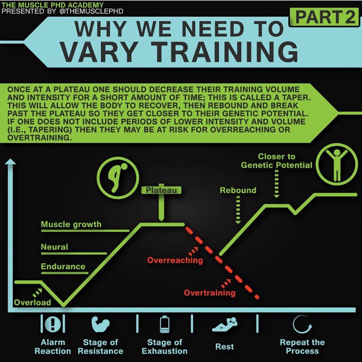 Infographics - The Muscle PhD