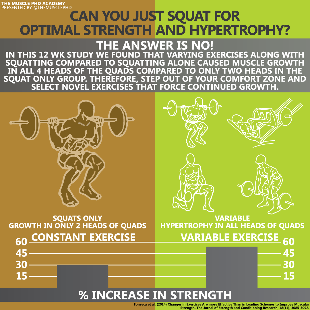 Infographics - The Muscle PhD