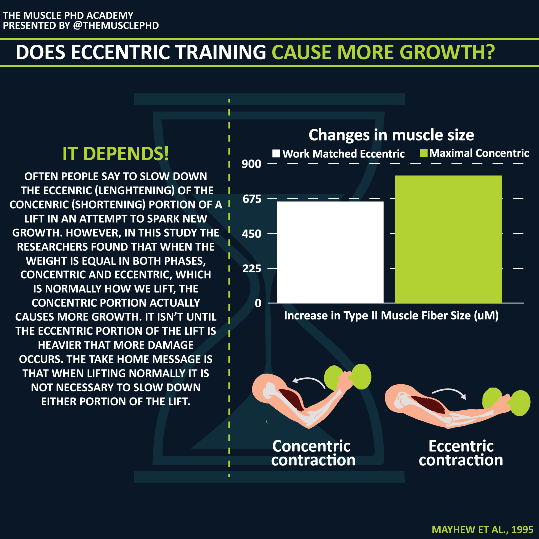 Infographics - The Muscle PhD