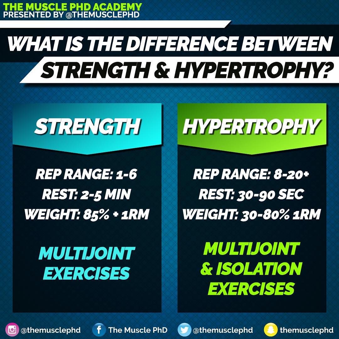 Infographics - The Muscle PhD