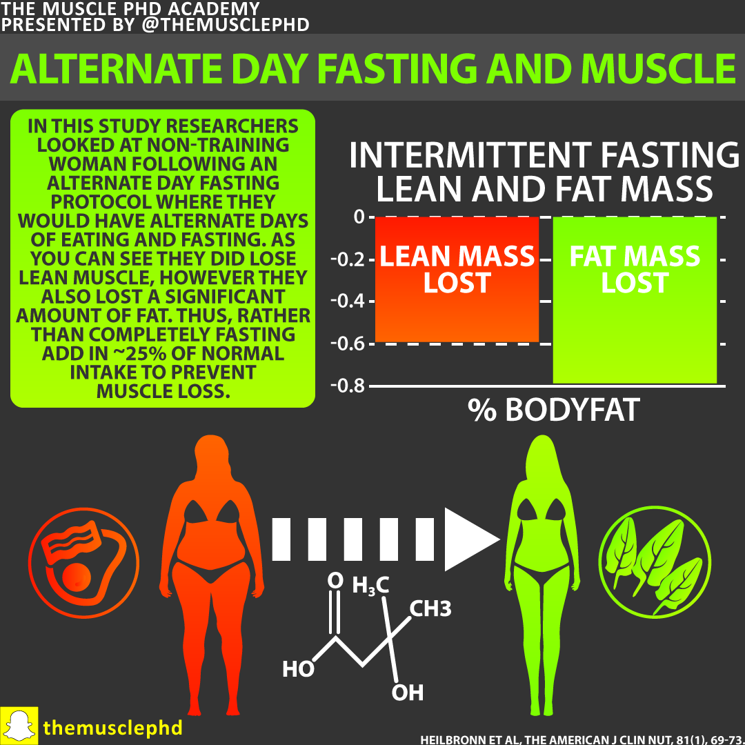 Infographics - The Muscle PhD