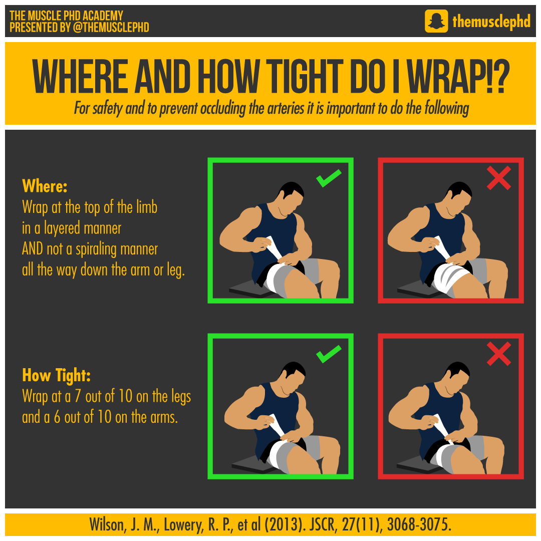 Infographics - The Muscle PhD