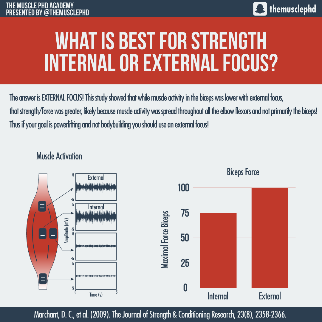 Infographics - The Muscle PhD