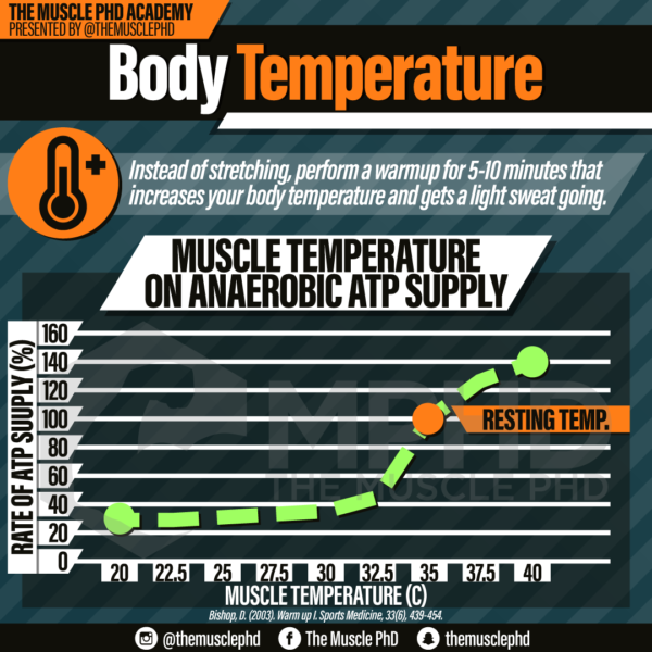 Can Stretching Prevent Injuries? - The Muscle PhD