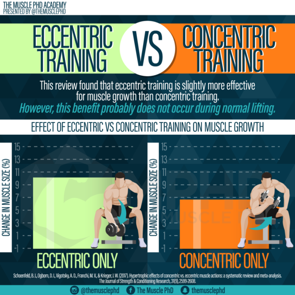 Adductors vs. Hamstrings in the Squat - The Muscle PhD