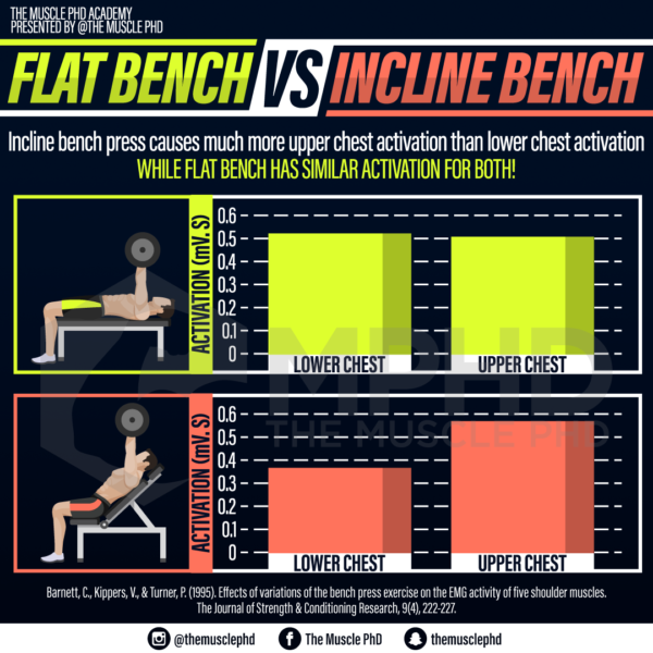 Bench Tip #2 - The Muscle PhD