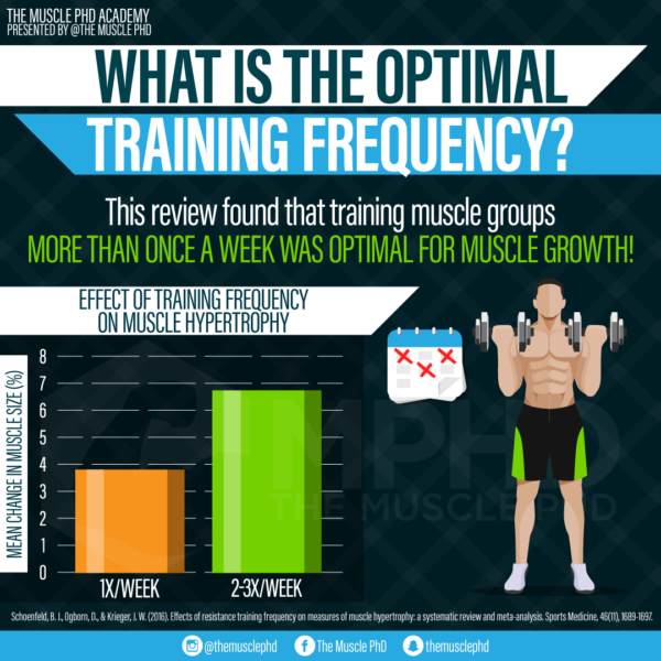 What Time of Day Should you Train? - The Muscle PhD