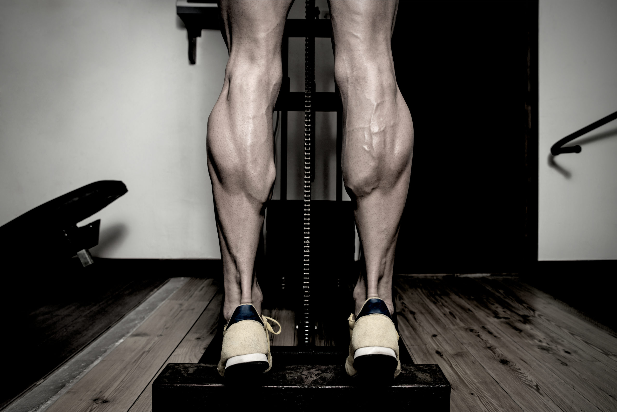 Soleus And Gastrocnemius Exercises Calf Stretches The Best 