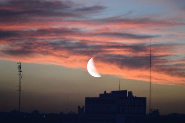 The Muscle PhD | Dr. Jacob Wilson