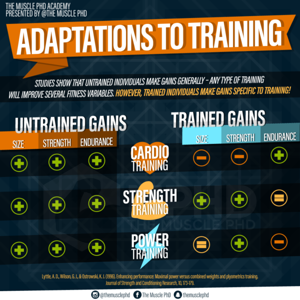 Muscle Activation in Compound and Isolation Exercises - The Muscle PhD