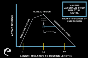 Range of Motion and Growth - The Muscle PhD