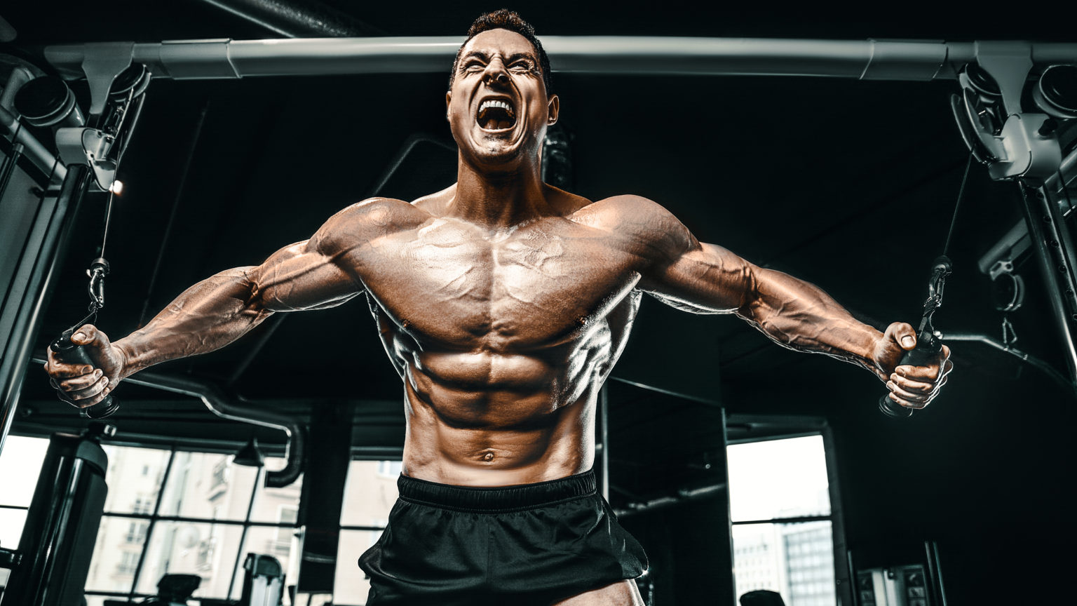 The Muscle PhD | Dr. Jacob Wilson