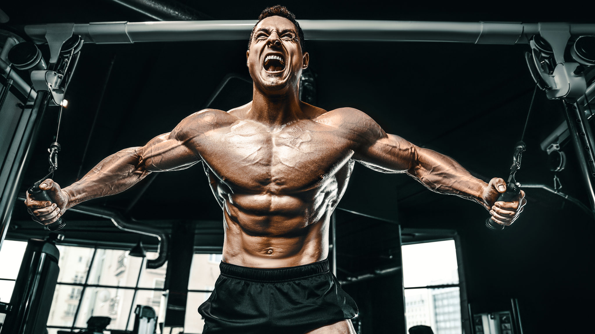 The Muscle PhD | Dr. Jacob Wilson