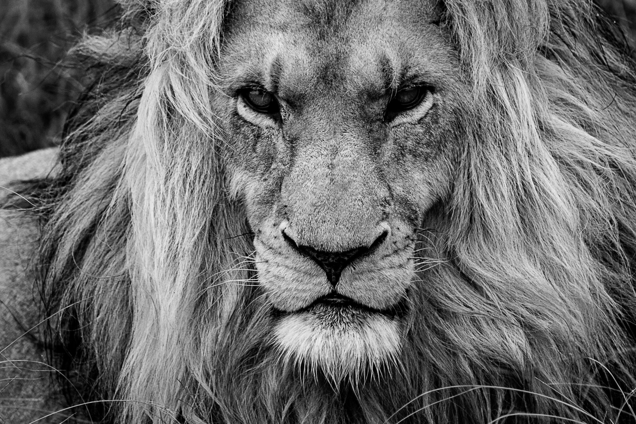 Quantifying Mechanical Tension - The Muscle PhD