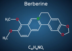 What Is Berberine? - The Muscle PhD