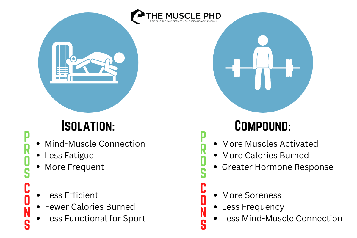 Compound vs. Isolation Movements - The Muscle PhD