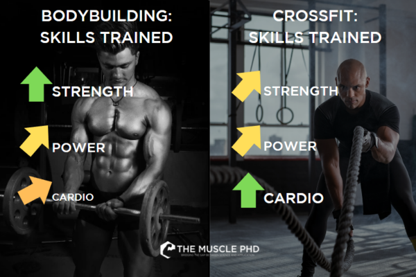 What can we Learn from CrossFit? - The Muscle PhD