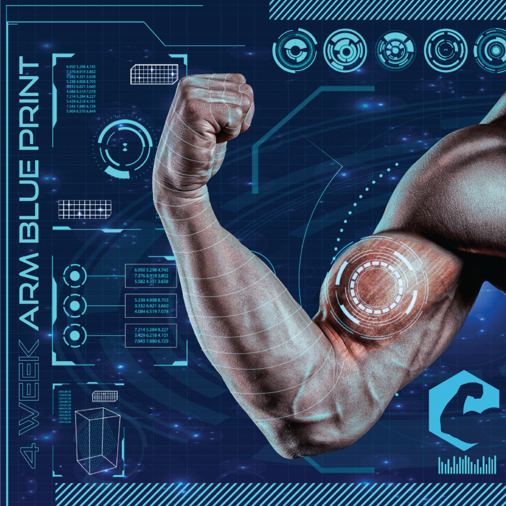 Chest Training 101 - The Muscle PhD