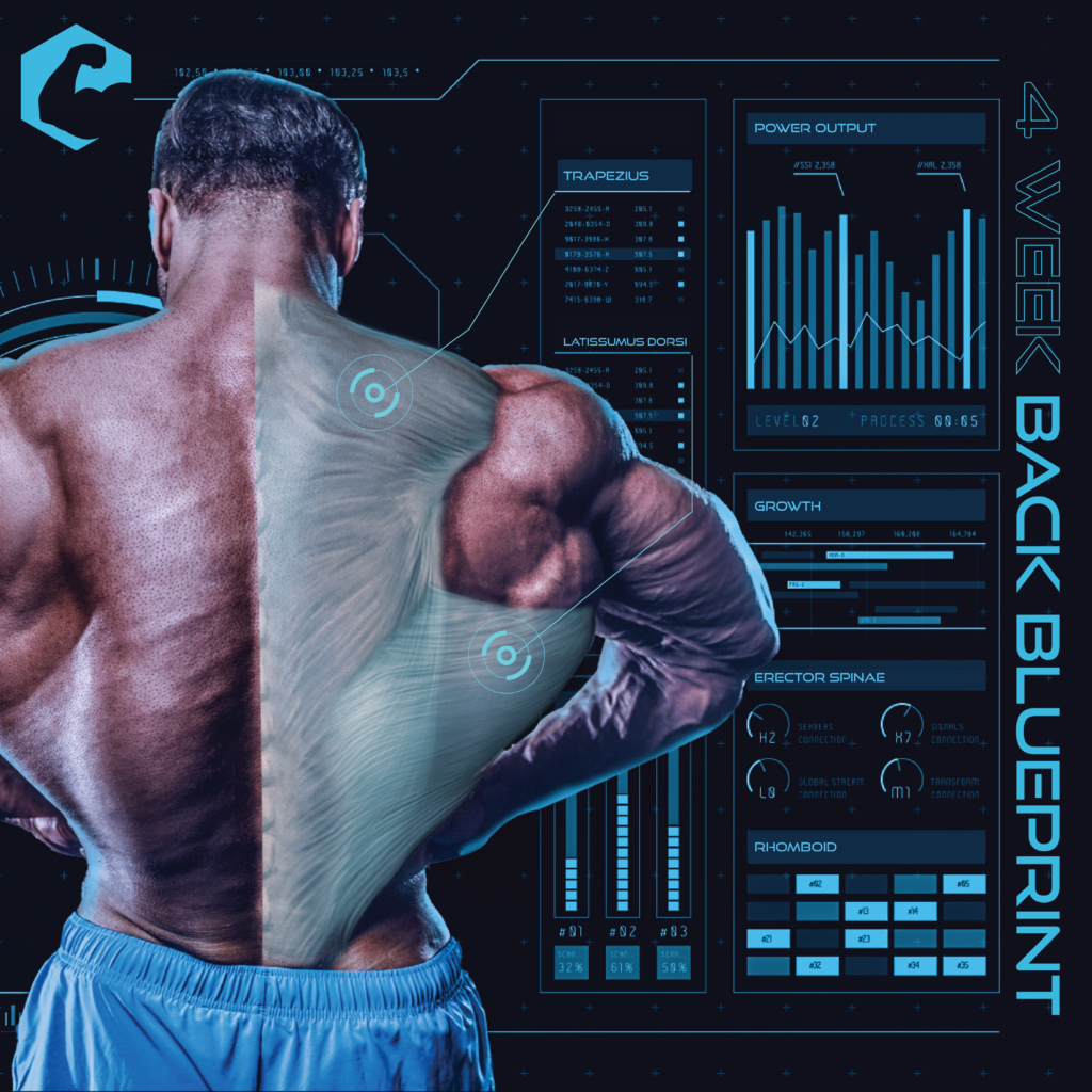 Genetic Potential - The Muscle PhD